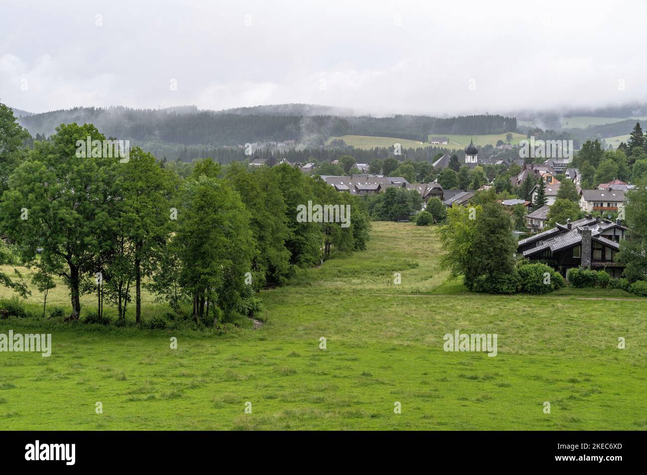 Europe, Germany, Southern Germany, Baden-Wuerttemberg, Black Forest ...