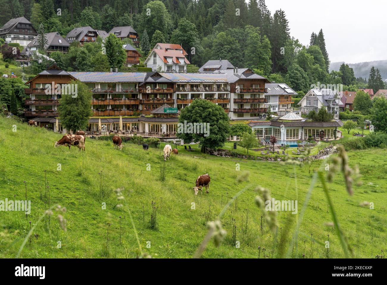Europe, Germany, Southern Germany, Baden-Wuerttemberg, Black Forest ...