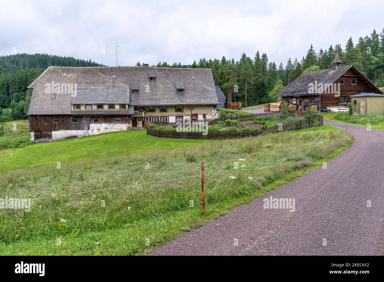 Europe, Germany, Southern Germany, Baden-Wuerttemberg, Black Forest ...