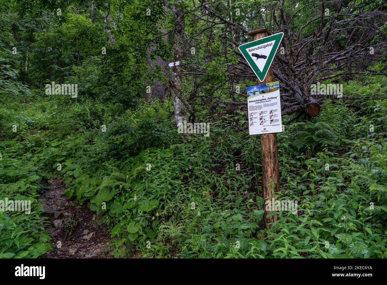 Europe, Germany, Southern Germany, Baden-Württemberg, Black Forest ...