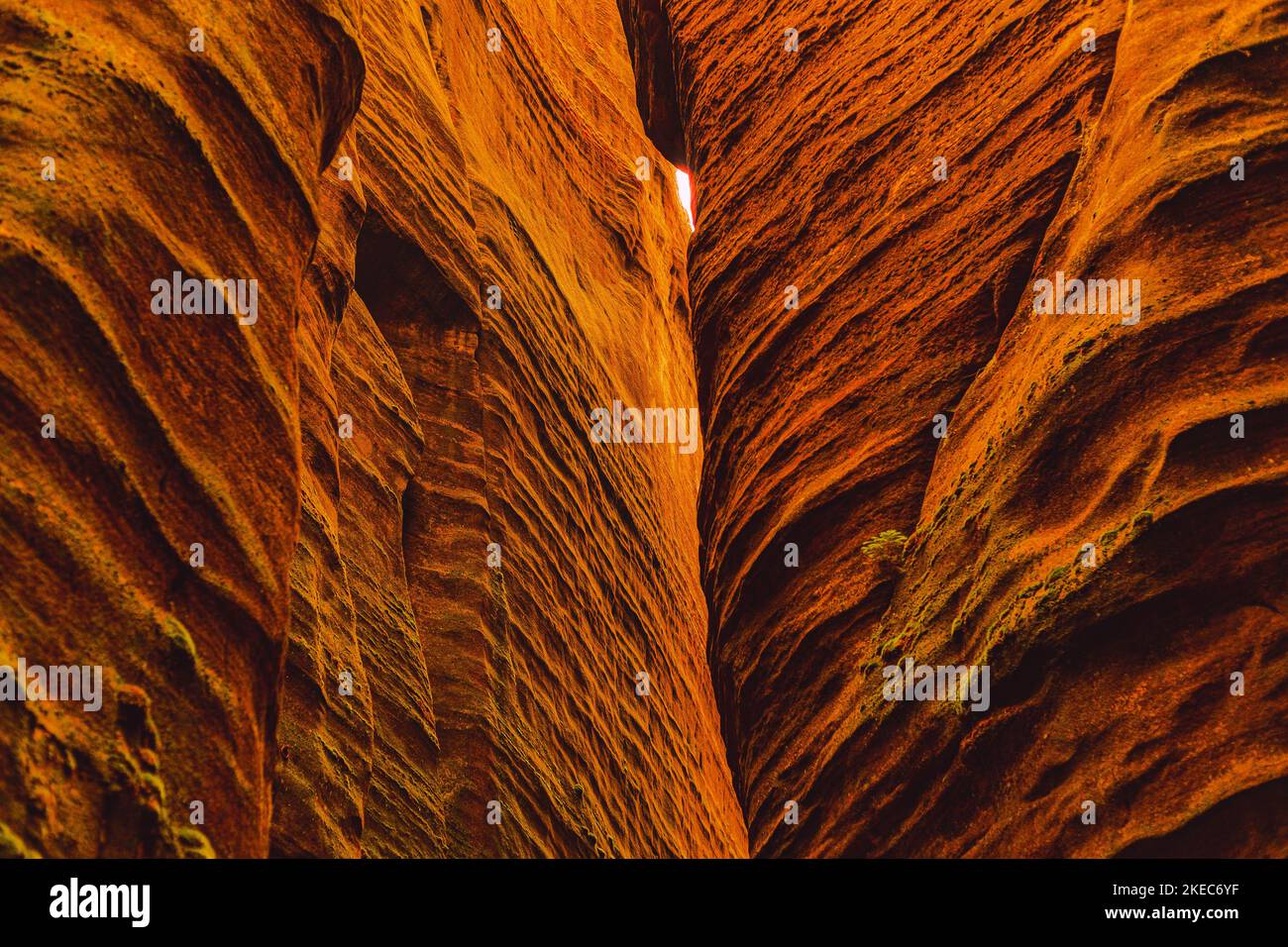 structure of the orange mountain rocks Stock Photo - Alamy