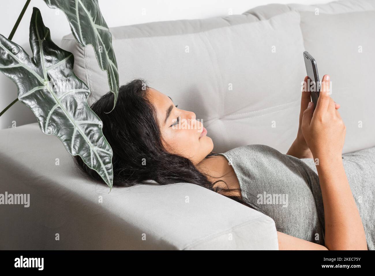 millennial brunette woman, lying on the couch looking at her cell phone ...