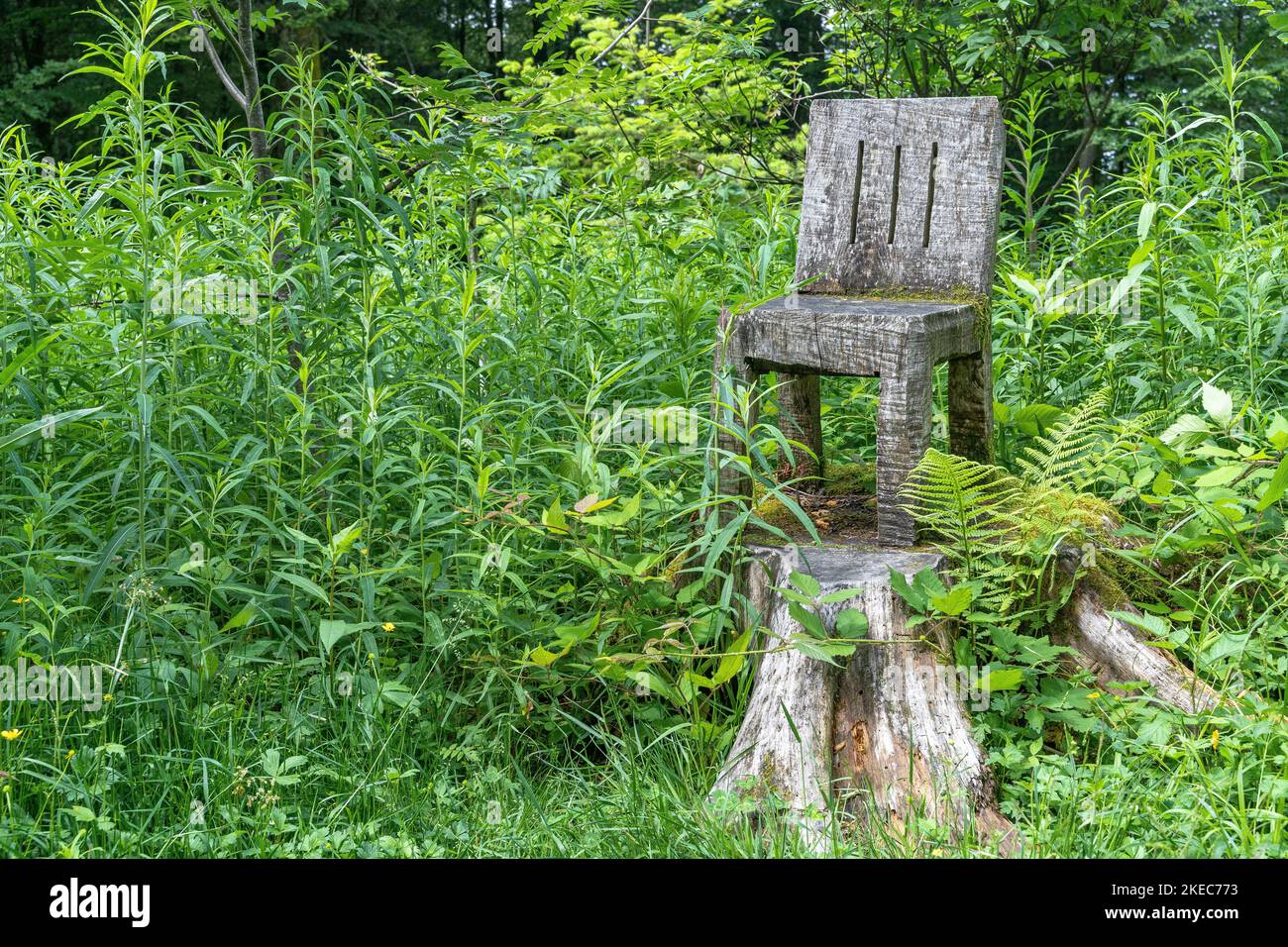 Europe, Germany, Southern Germany, Baden-Wuerttemberg, Black Forest ...
