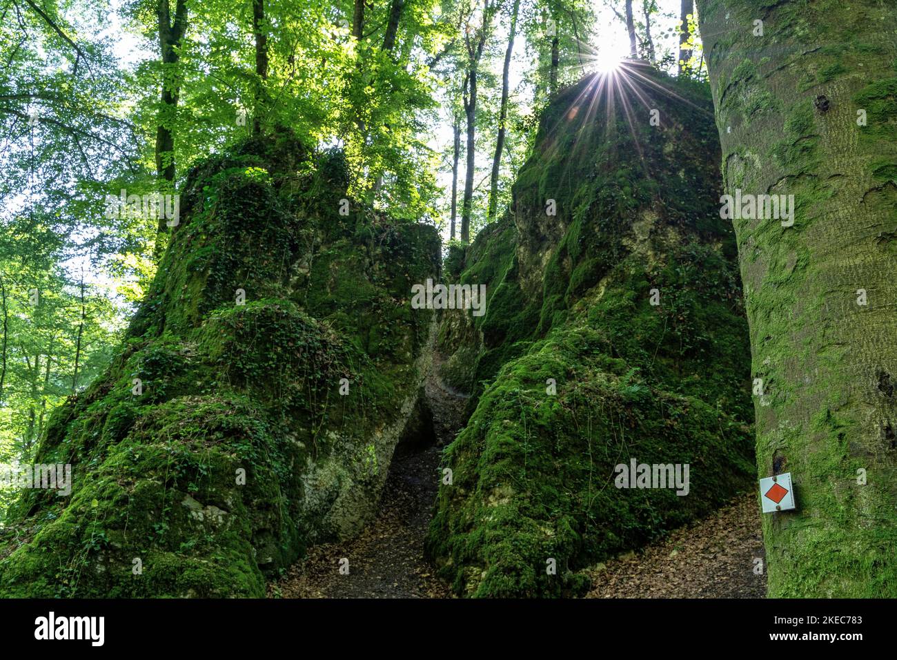 Europe, Germany, Southern Germany, Baden-Württemberg, Black Forest ...