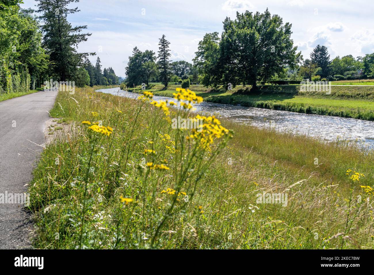 Europe, Switzerland, Basel, path on the bank of the river Wiese in the ...