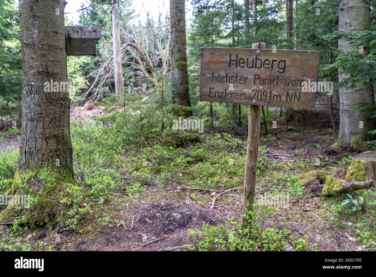 Europe, Germany, South Germany, Baden-Wuerttemberg, Black Forest ...