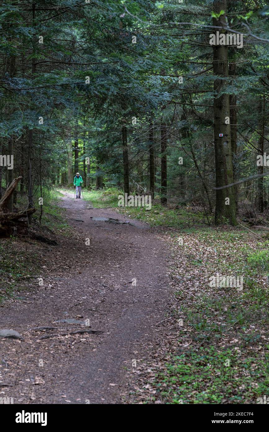 Europe, Germany, Southern Germany, Baden-Wuerttemberg, Black Forest ...