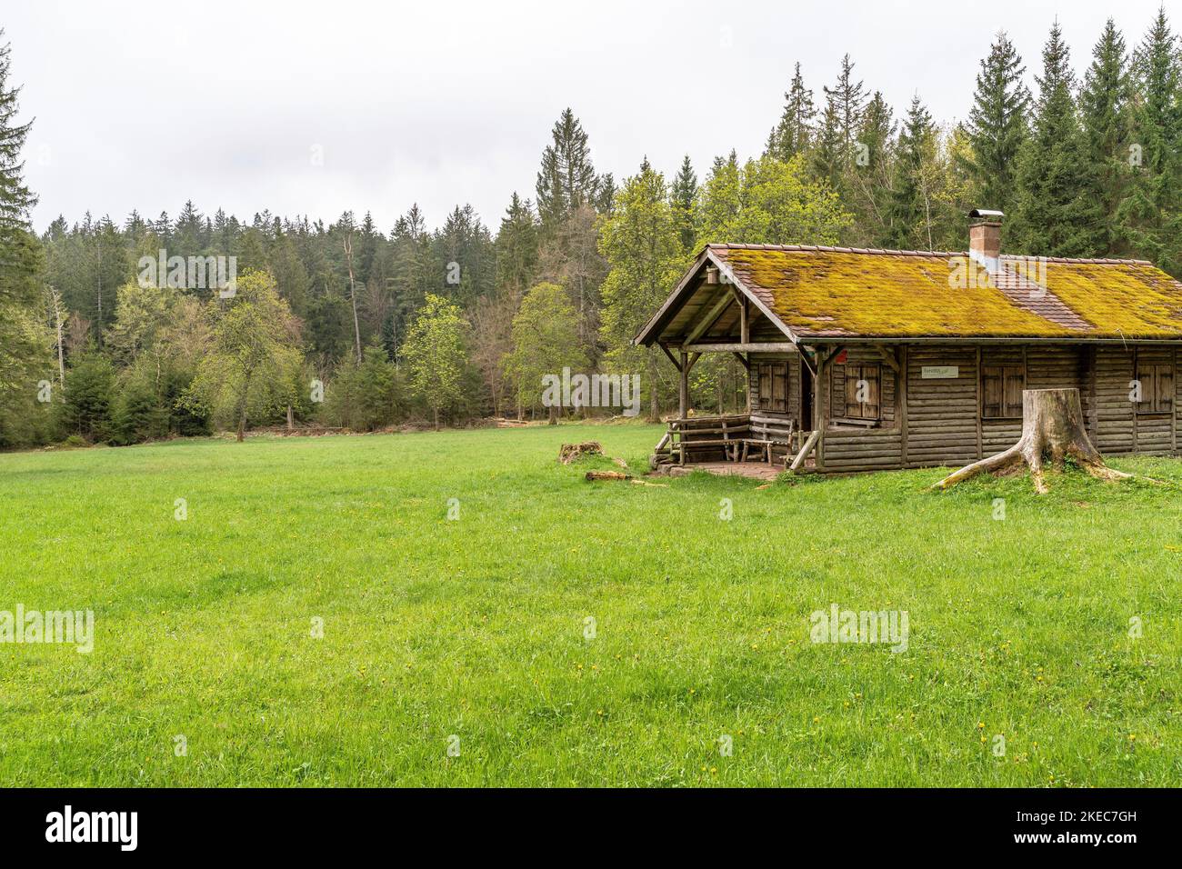 Europe, Germany, Southern Germany, Baden-Wuerttemberg, Black Forest ...