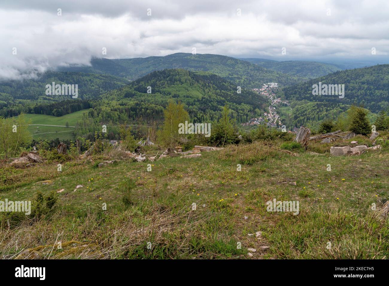 Europe, Germany, Southern Germany, Baden-Wuerttemberg, Black Forest ...