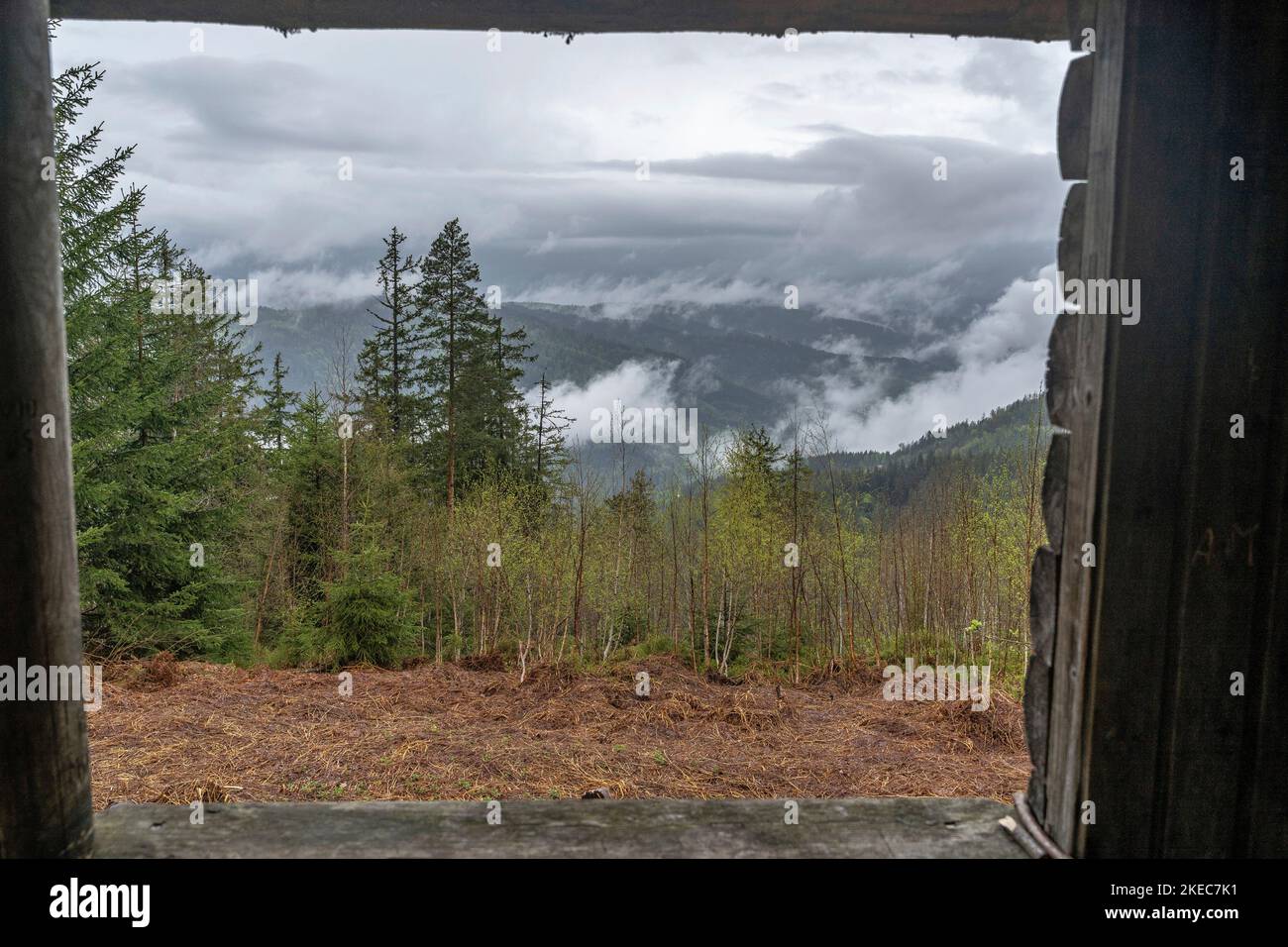 Europe, Germany, Southern Germany, Baden-Wuerttemberg, Black Forest ...