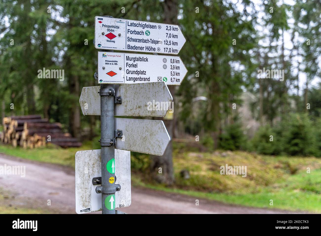 Europe, Germany, Southern Germany, Baden-Wuerttemberg, Black Forest ...