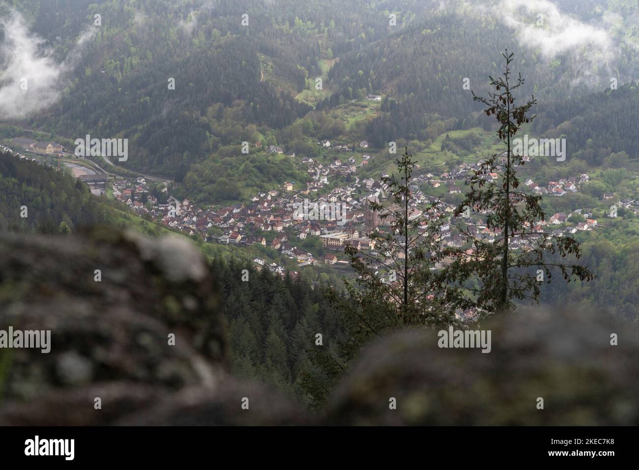 Europe, Germany, Southern Germany, Baden-Wuerttemberg, Black Forest ...