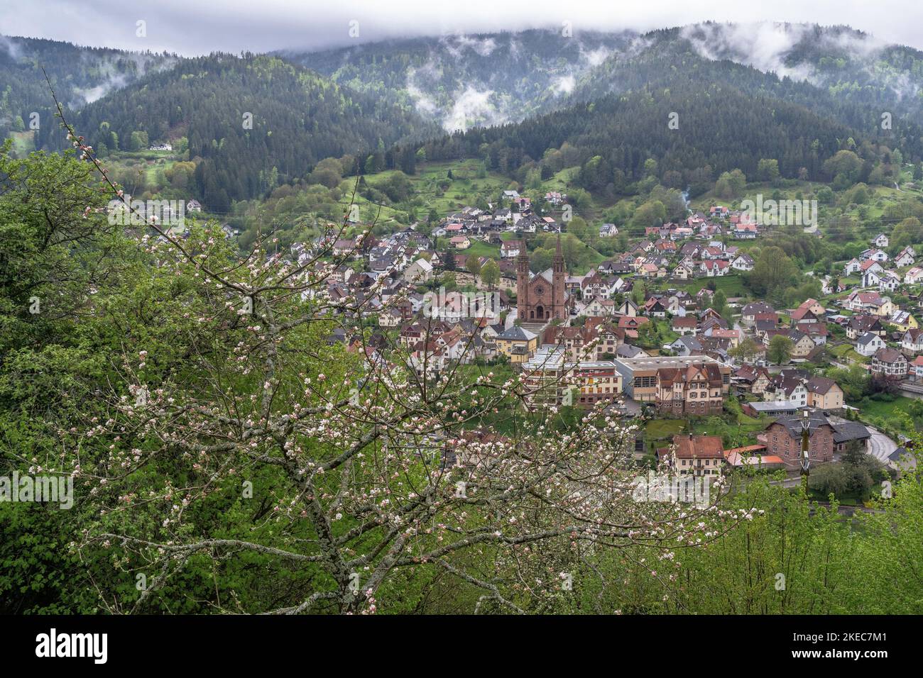Europe, Germany, Southern Germany, Baden-Wuerttemberg, Black Forest ...