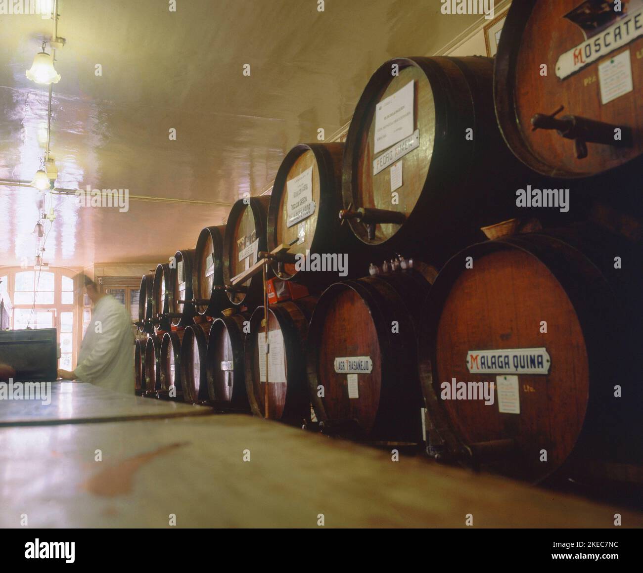 TABERNA ANTIGUA CASA DE GUARDIA. Location: INTERIOR. Malaga. SPAIN ...