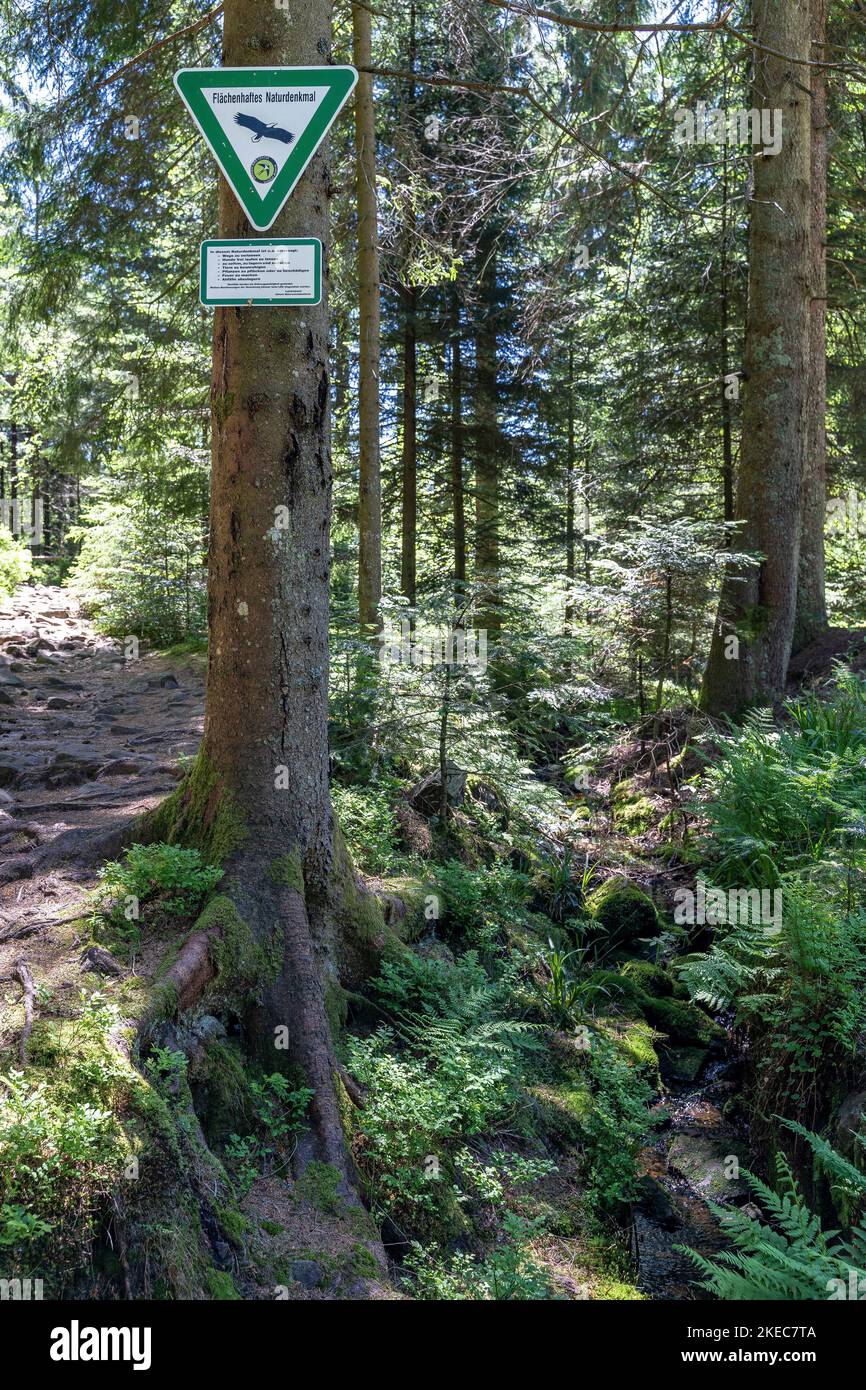 Europe, Germany, Southern Germany, Baden-Wuerttemberg, Black Forest ...