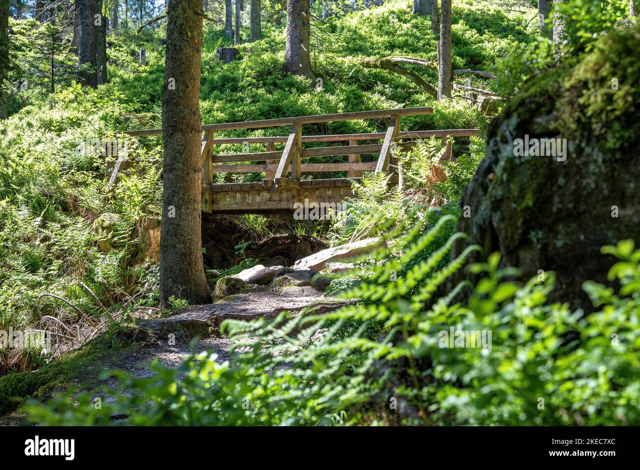Europe, Germany, Southern Germany, Baden-Wuerttemberg, Black Forest ...