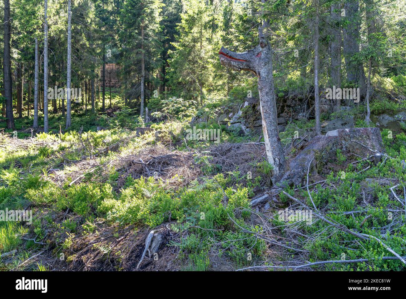 Europe, Germany, Southern Germany, Baden-Wuerttemberg, Black Forest ...