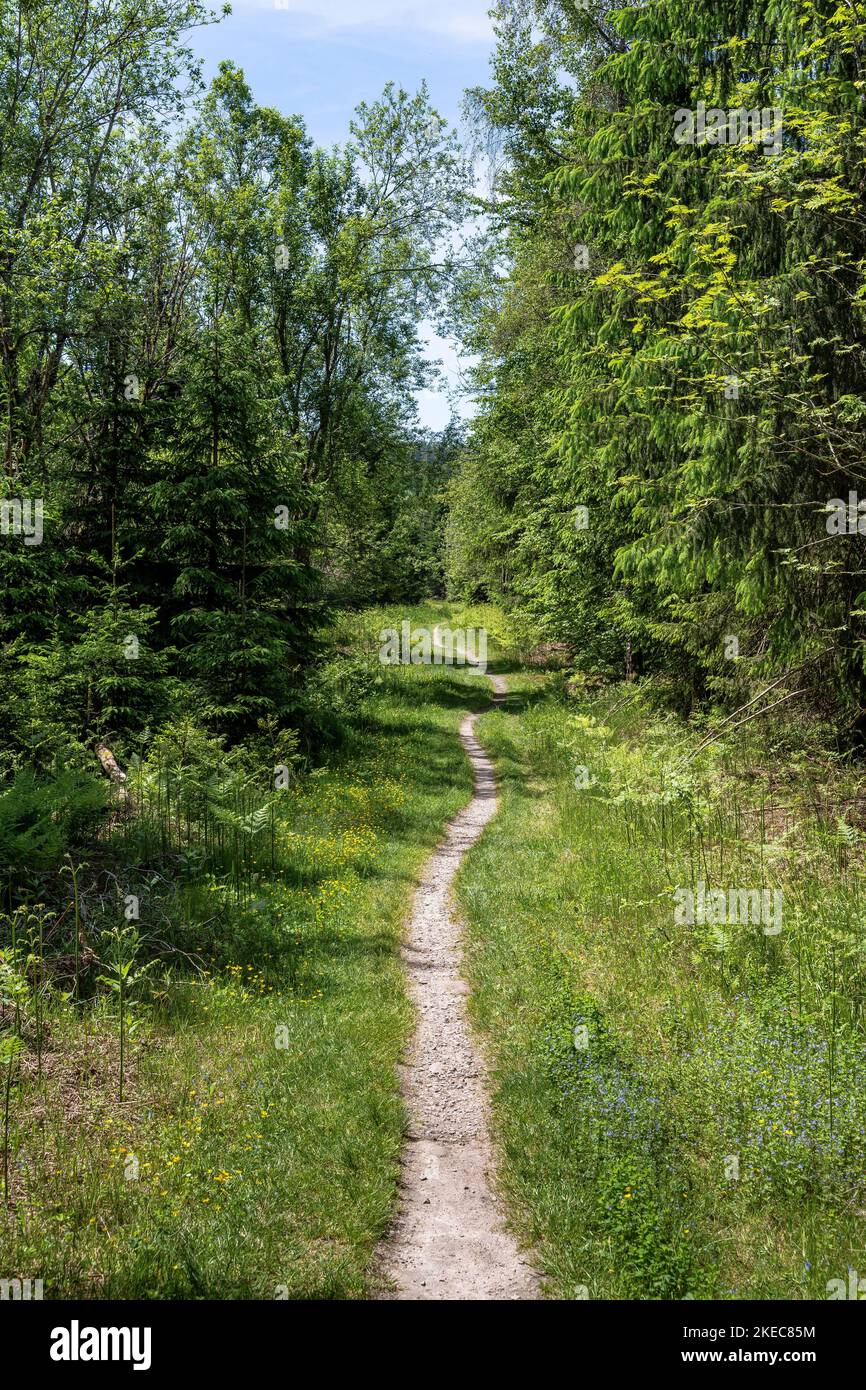 Europe, Germany, Southern Germany, Baden-Wuerttemberg, Black Forest ...