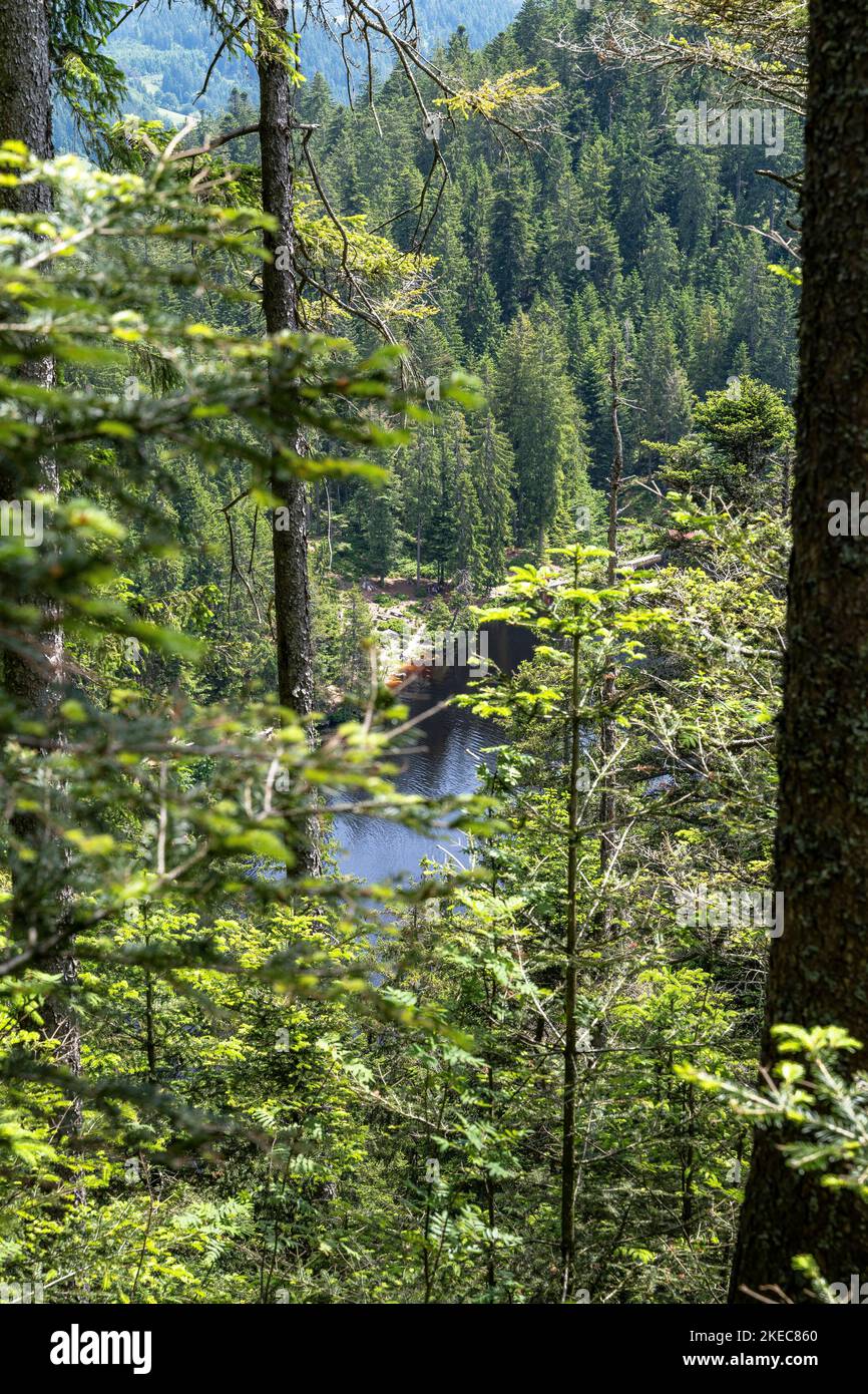 Europe, Germany, Southern Germany, Baden-Wuerttemberg, Black Forest ...