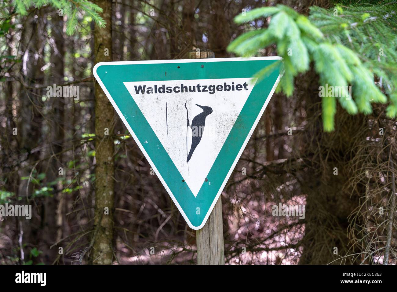 Europe, Germany, Southern Germany, Baden-Wuerttemberg, Black Forest ...