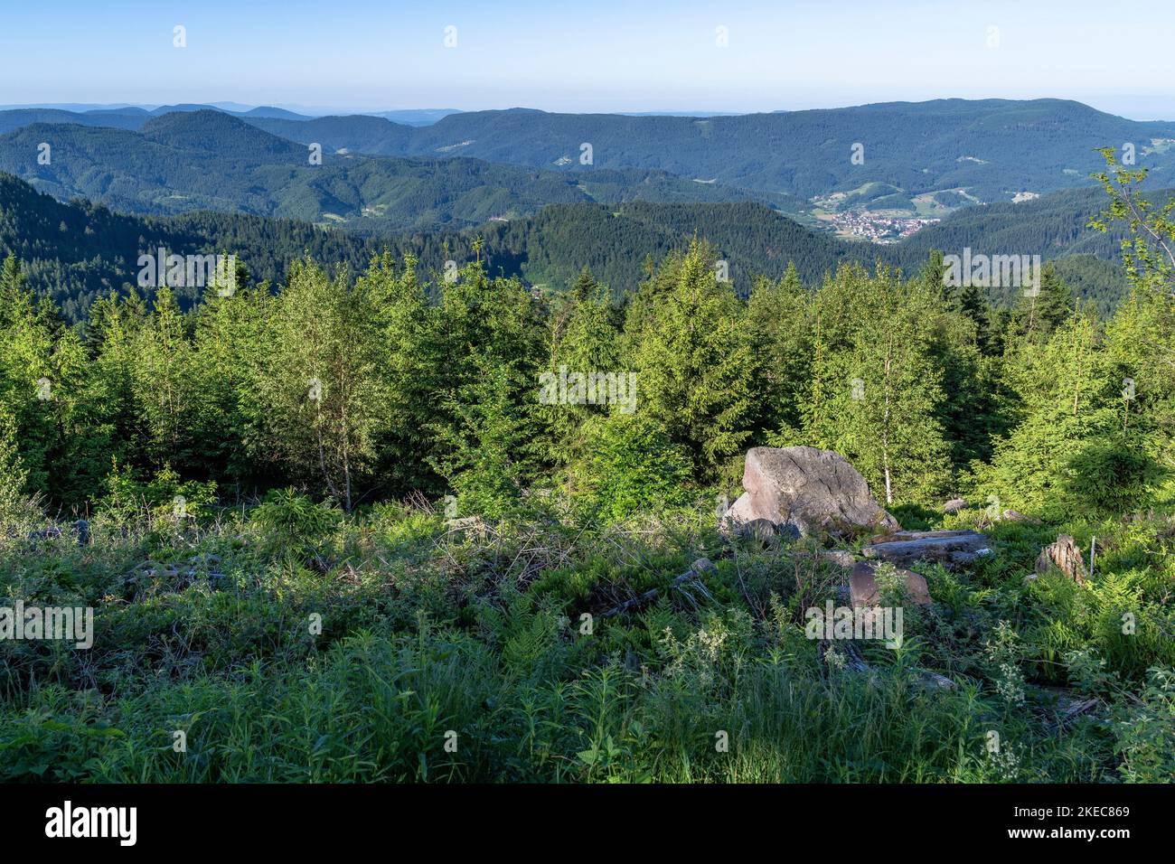 Europe, Germany, Southern Germany, Baden-Wuerttemberg, Black Forest ...