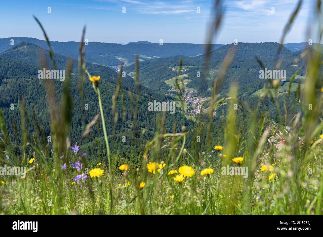 Bad griesbach rottal hi-res stock photography and images - Alamy