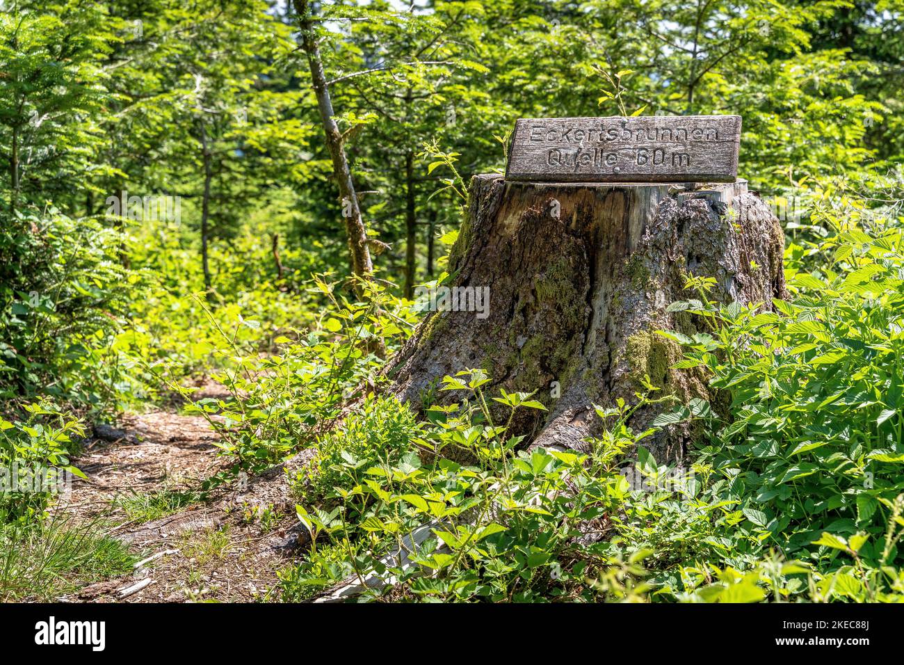 Europe, Germany, Southern Germany, Baden-Wuerttemberg, Black Forest ...