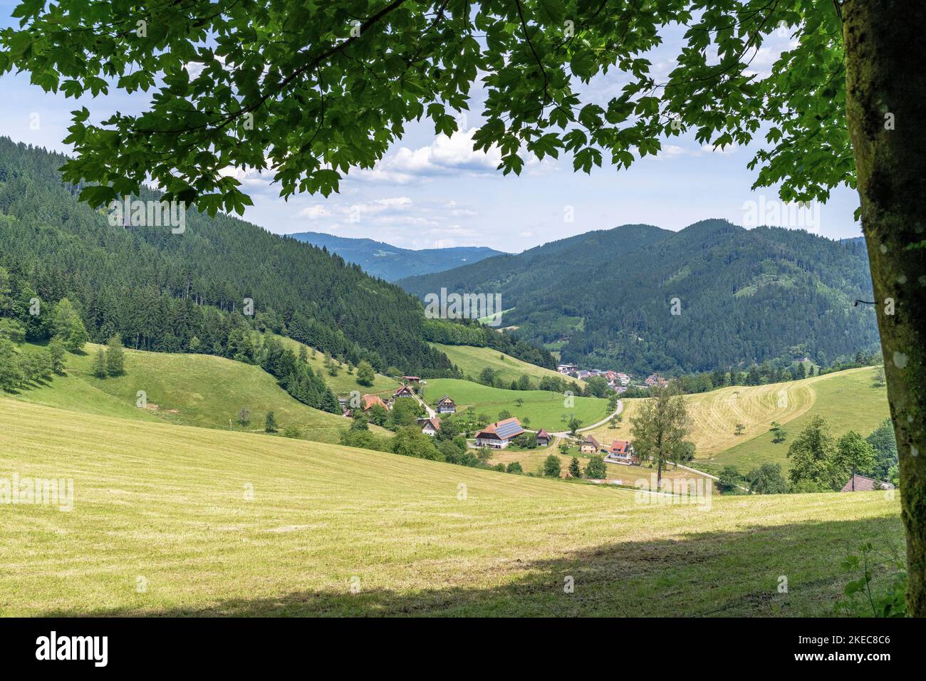 Europe, Germany, Southern Germany, Baden-Wuerttemberg, Black Forest ...