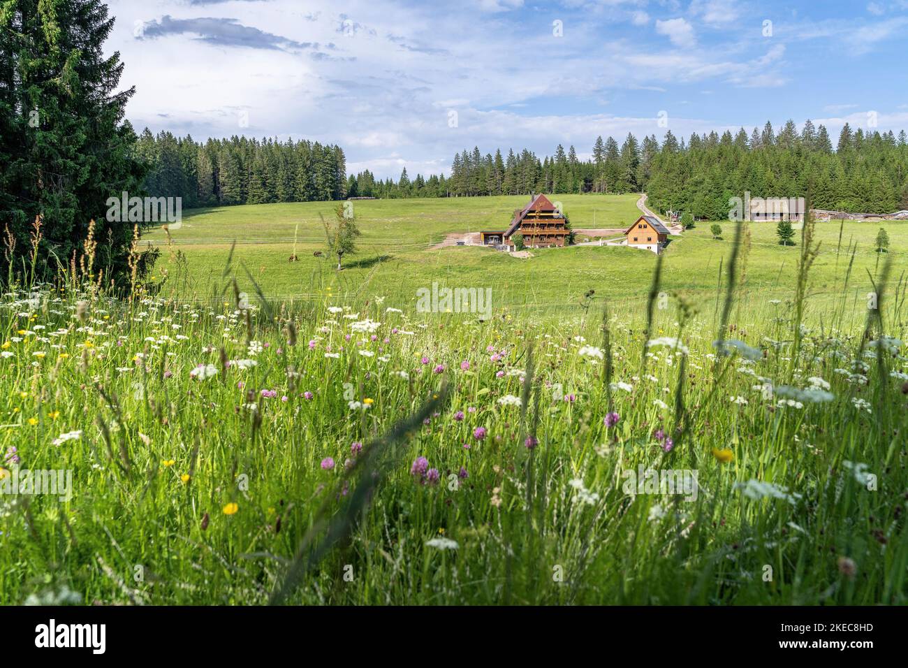 Europe, Germany, Southern Germany, Baden-Wuerttemberg, Black Forest ...
