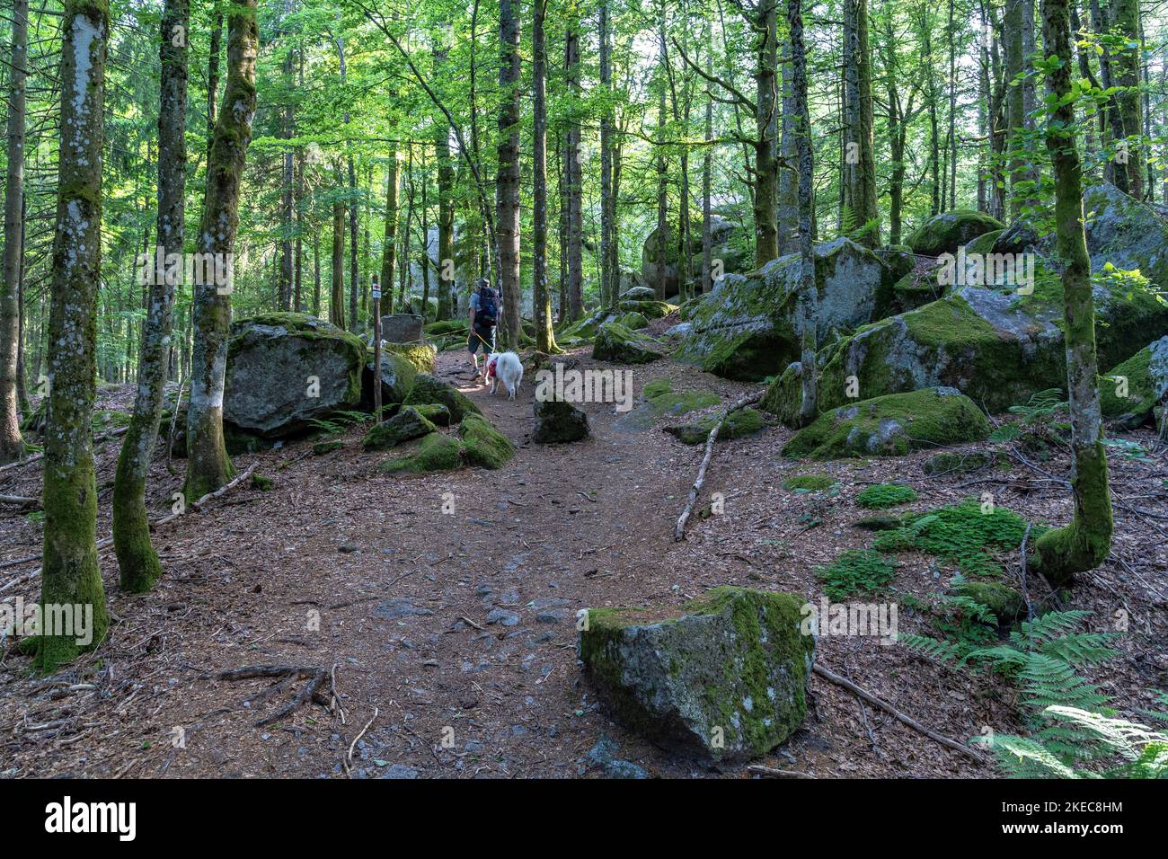 Europe, Germany, Southern Germany, Baden-Wuerttemberg, Black Forest ...
