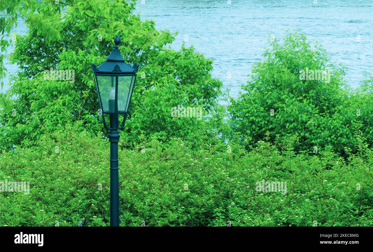 vintage style lamppost among overgrown lake shore Stock Photo - Alamy