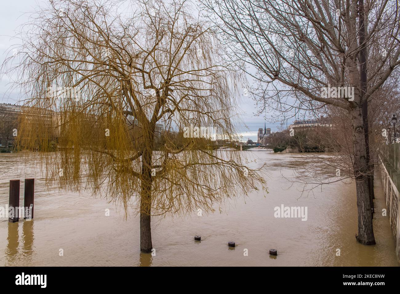 A bank of Seine river flooded due to continuous rainfalls in Paris ...