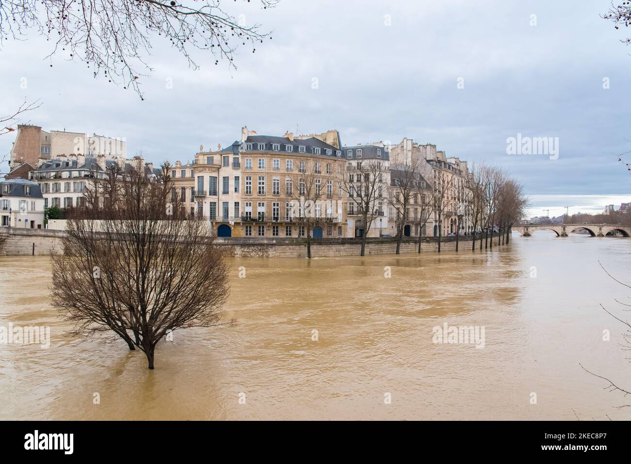 A bank of Seine river flooded due to continuous rainfalls in Paris ...