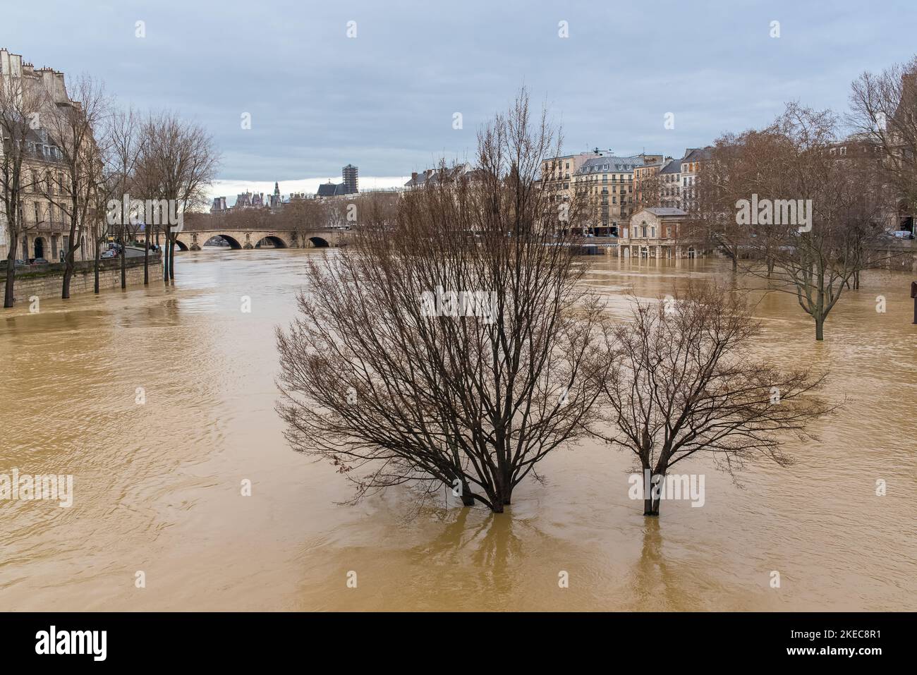 A bank of Seine river flooded due to continuous rainfalls in Paris ...