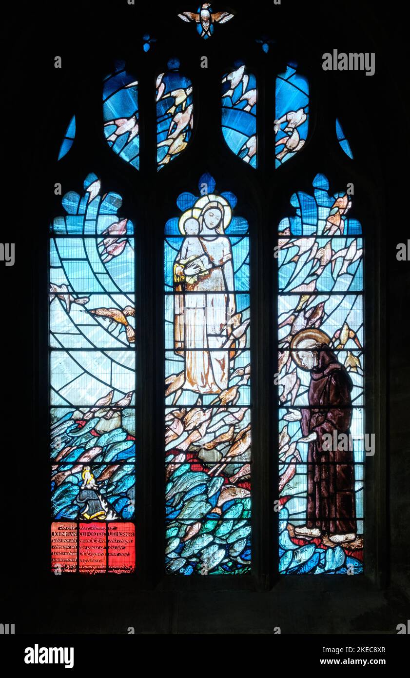 Stained glass window depicting st francis of assisi st andrews hi-res ...