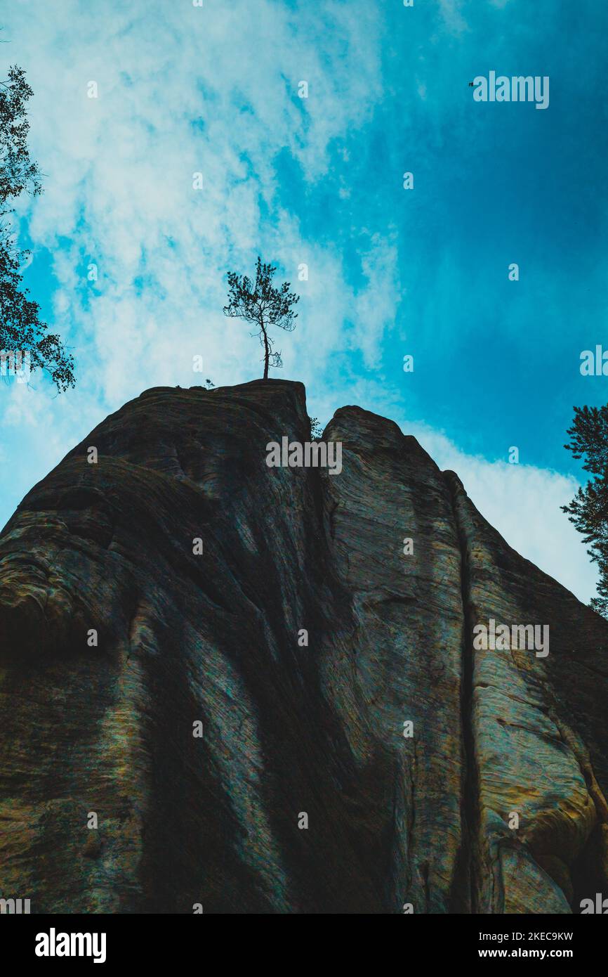 tree on the top of the mountain rock Stock Photo - Alamy