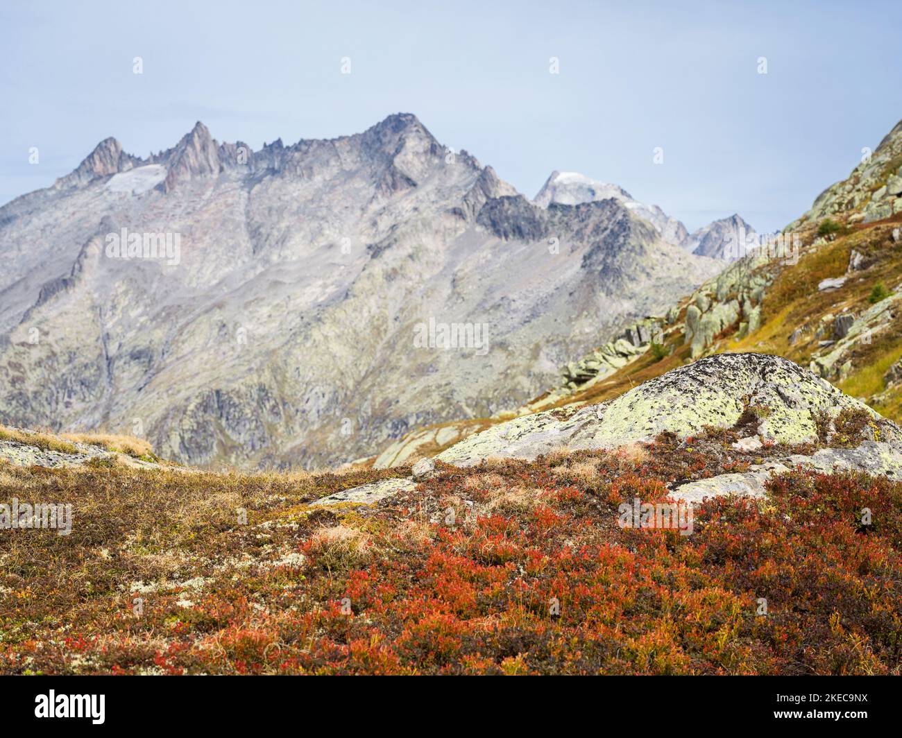 Grimsel world hi-res stock photography and images - Alamy