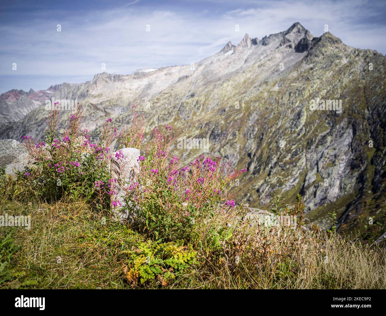 Grimsel world hi-res stock photography and images - Alamy