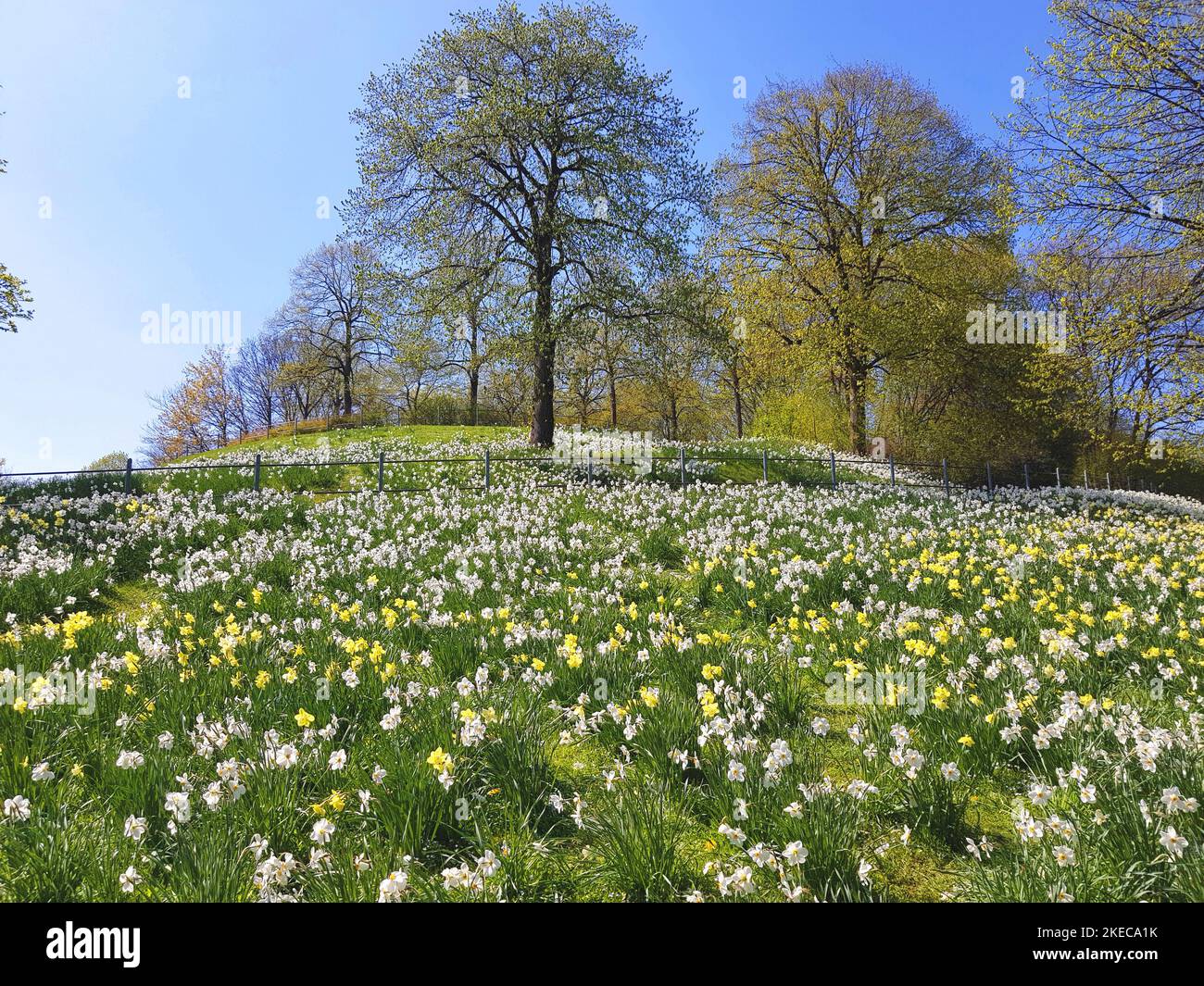 60 hectare park hi-res stock photography and images - Alamy