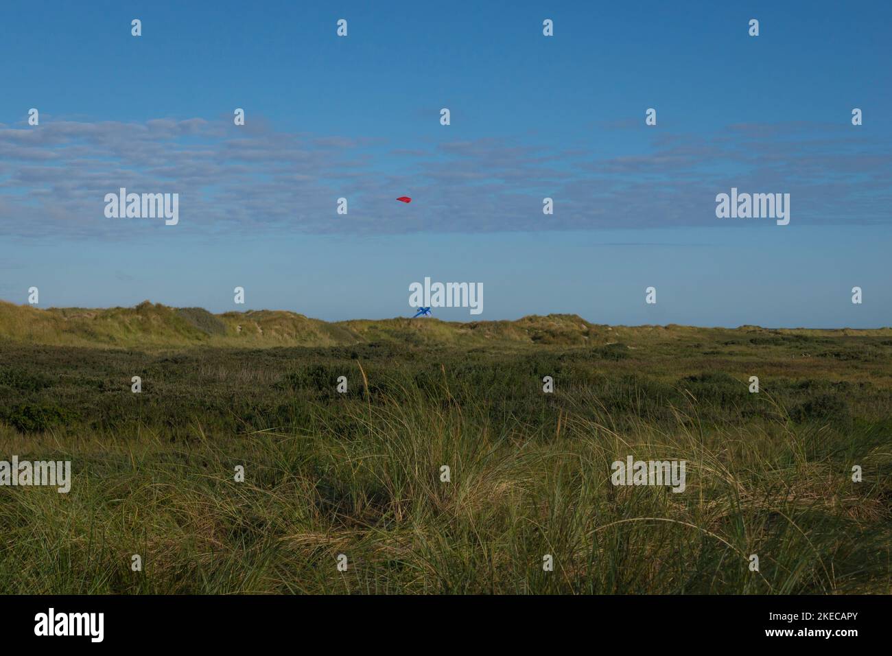 Landscape on Romo beach in Denmark with kites in the sky Stock Photo ...