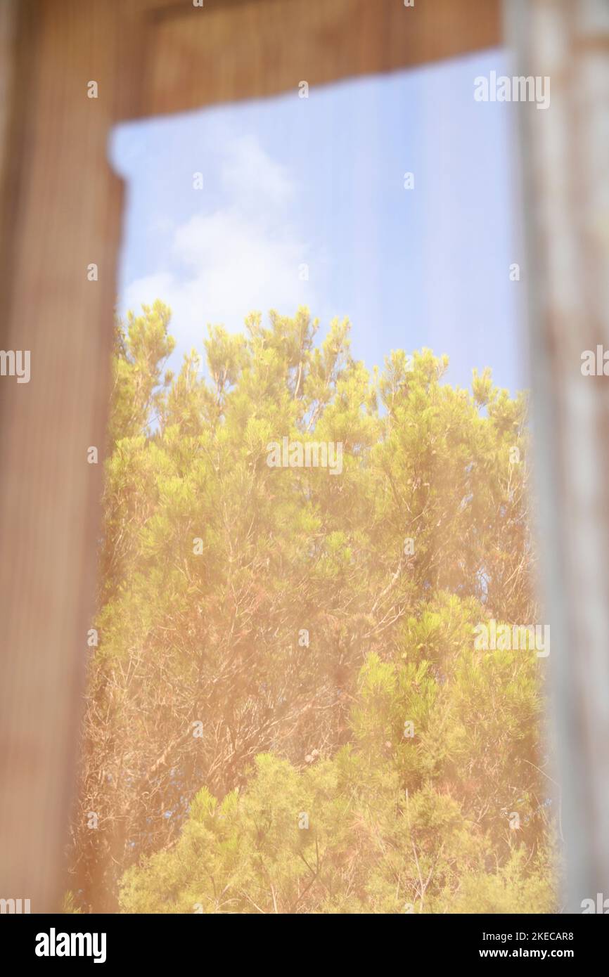 Tree reflection glass hi-res stock photography and images - Alamy