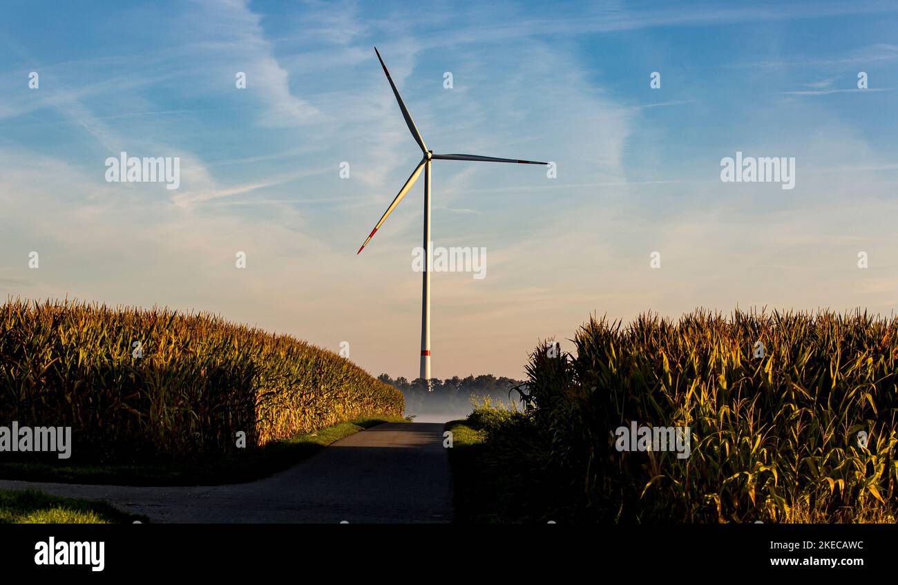 Renewable energies in the landscape, near Bad Saulgau, wind turbine for ...