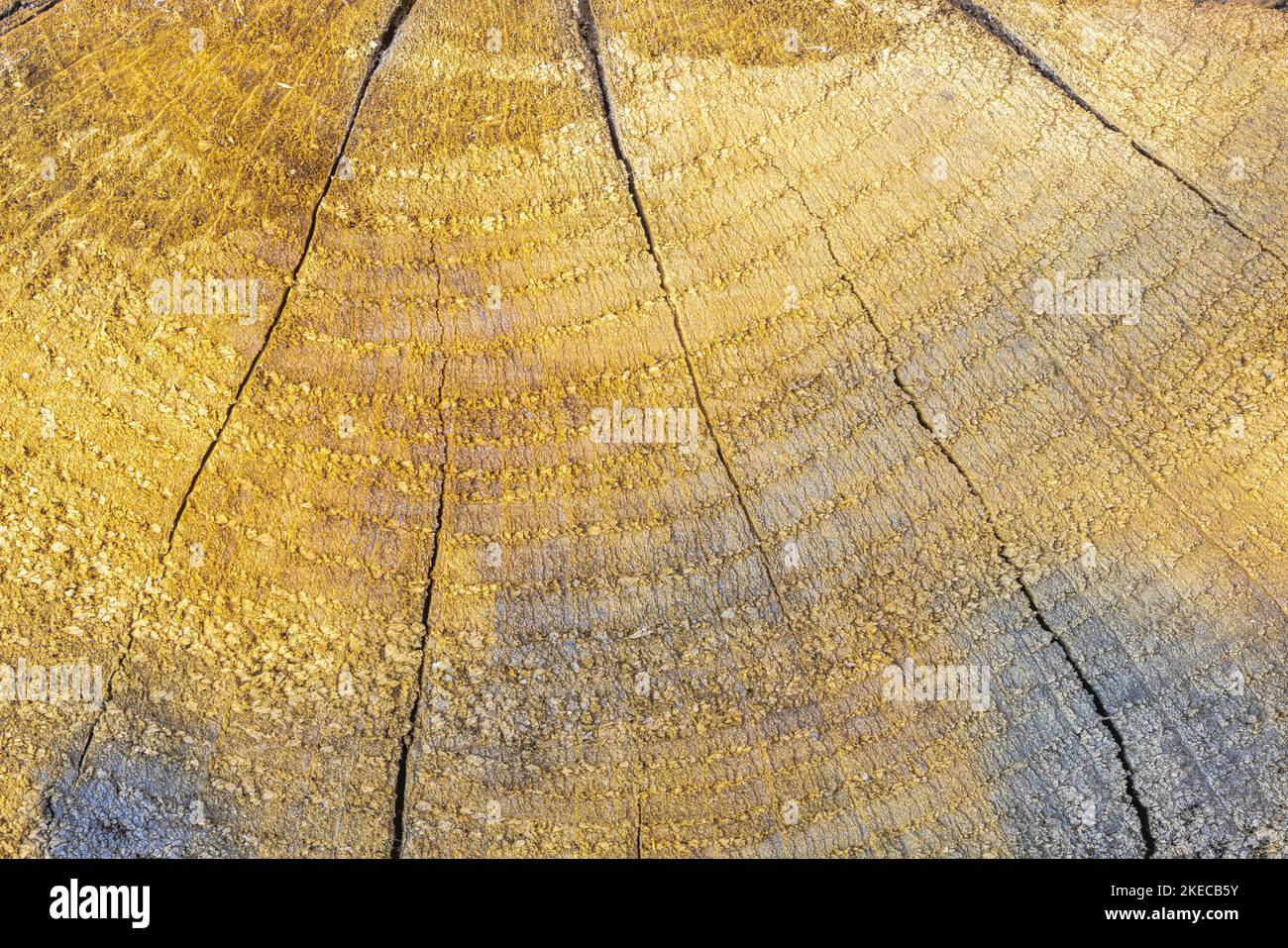 Rips pattern hi-res stock photography and images - Alamy