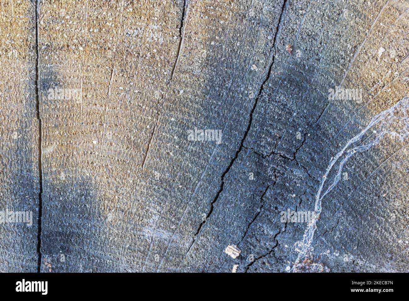 Rips pattern hi-res stock photography and images - Alamy