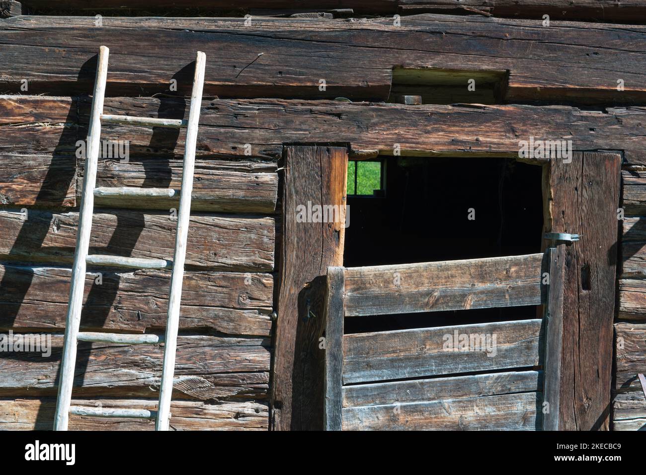 Wooden hut, Switzerland, ladder, alp Stock Photo - Alamy