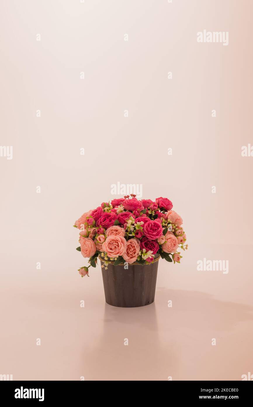 Bouquet of red and pink roses in a bucket on a light background Stock ...