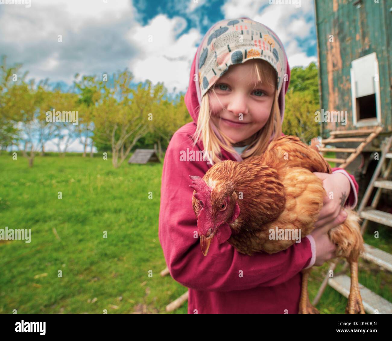 Child and hen Stock Photo - Alamy