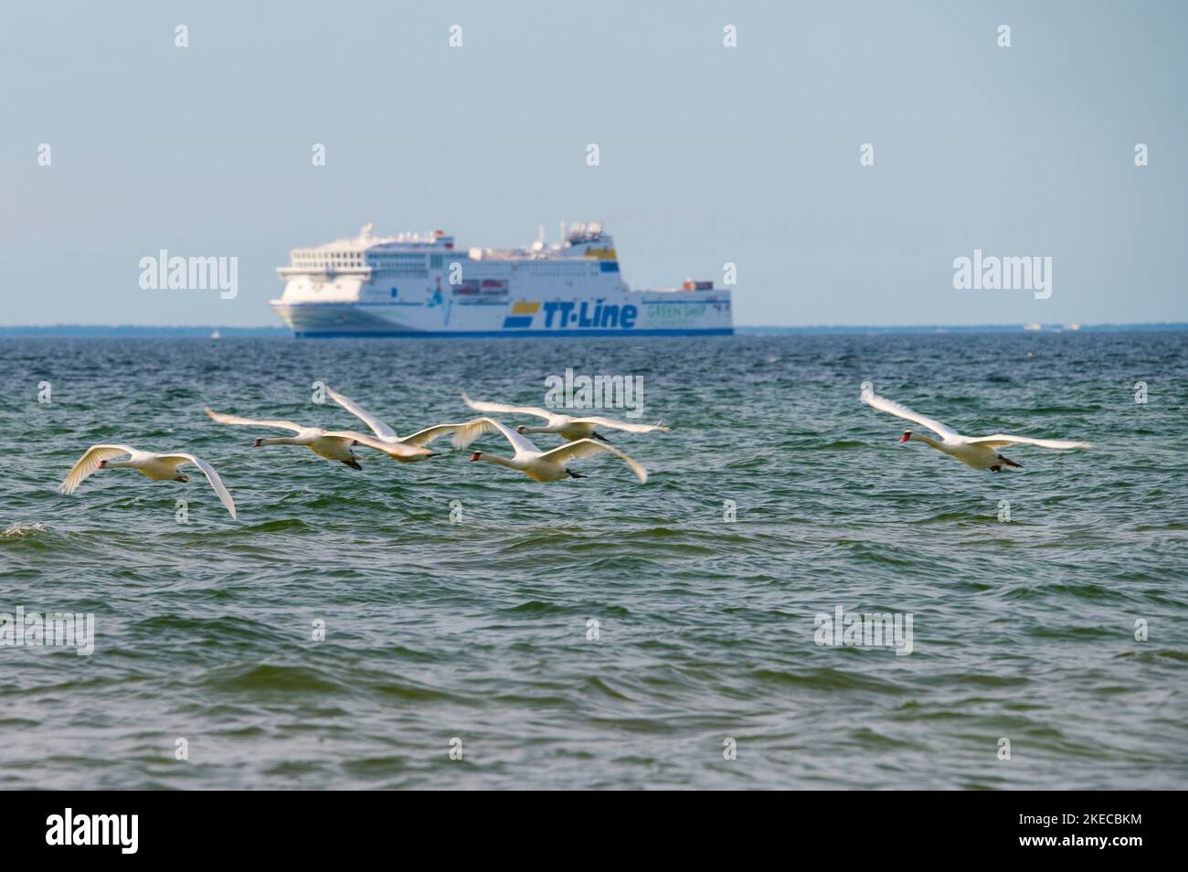 Lng powered ferry hi-res stock photography and images - Alamy