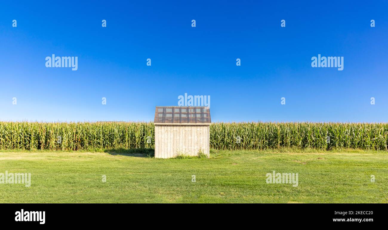 simple clean barn with a cornfield beyond Stock Photo - Alamy