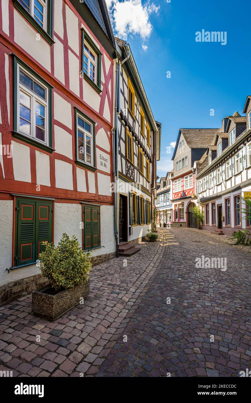 Views of Eltville in the Rheingau, a rose and sustainability town with ...